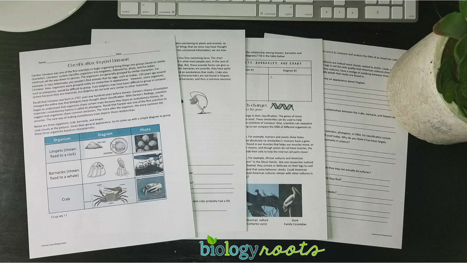 5 Tips for Teaching Classification (in a modern world) - Biology Roots