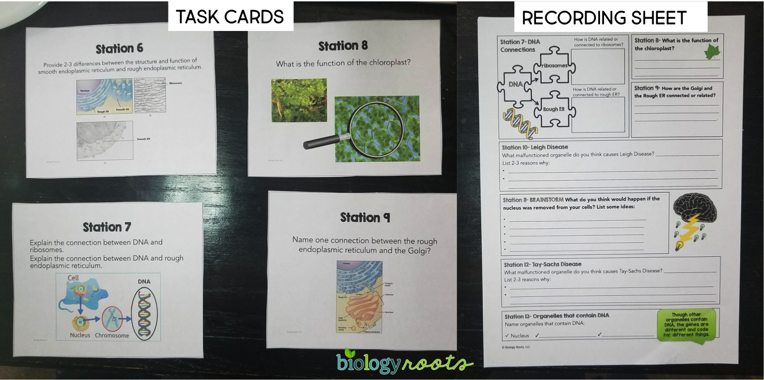 Task Cards in Biology - Biology Roots