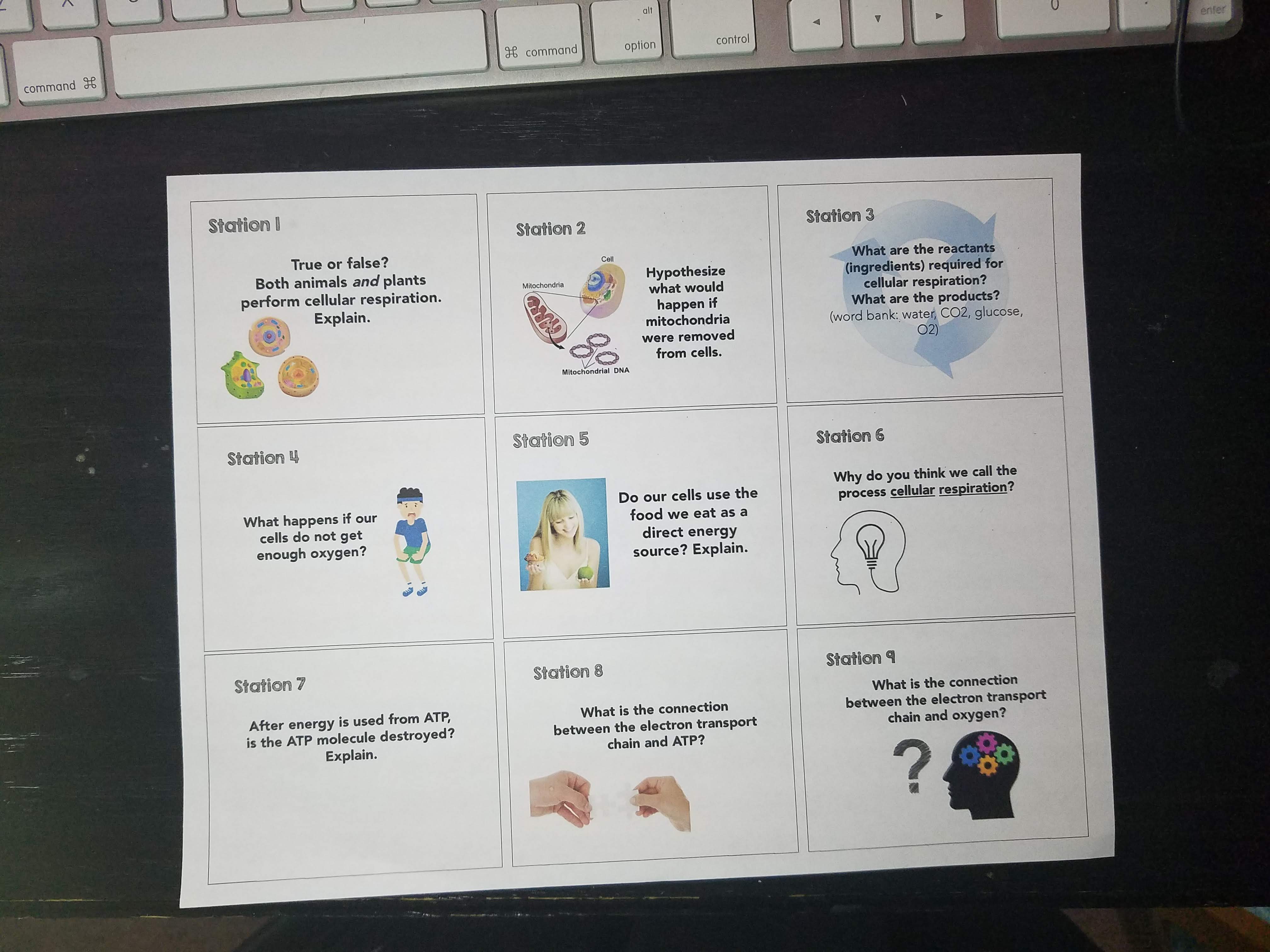 Task Cards in Biology - Biology Roots