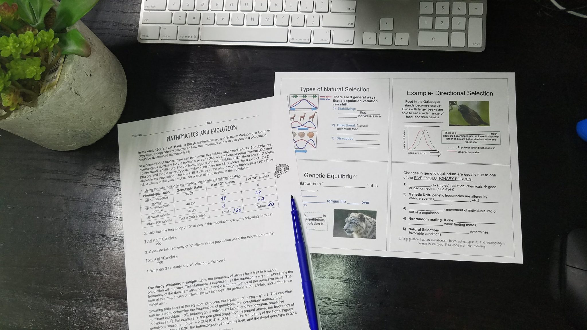 About the Biology Roots Curriculum: Full Year Biology Curriculum ...